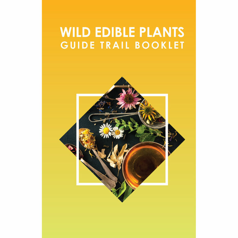 Guide Trail Booklet – Wild Edible Plants – Shop Cadets