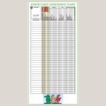 Junior Cadet Achievement Chart – Shop Cadets